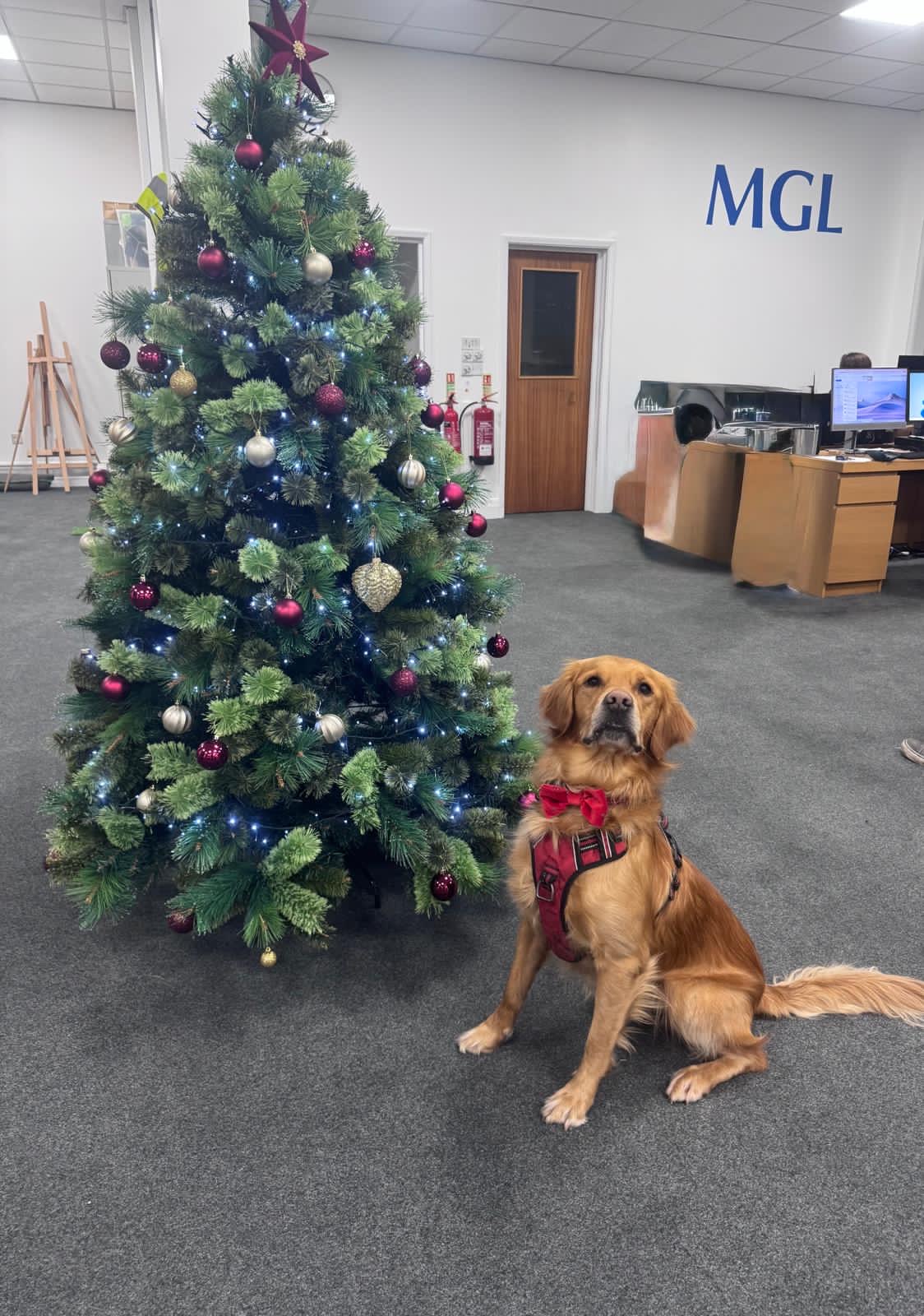 MGL World - Technology solutions for schools